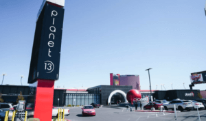 Planet 13, Las Vegas: Everything you need to know about visiting! - the ...