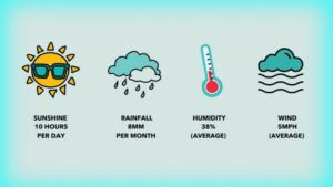 Las Vegas Weather in November: What to Expect when visiting! - the ...