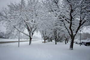 Where does it snow in Texas? Here are 6 places to find snow in Texas ...