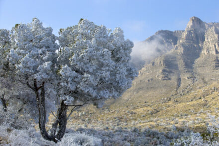 Where does it snow in Texas? Here are 6 places to find snow in Texas ...