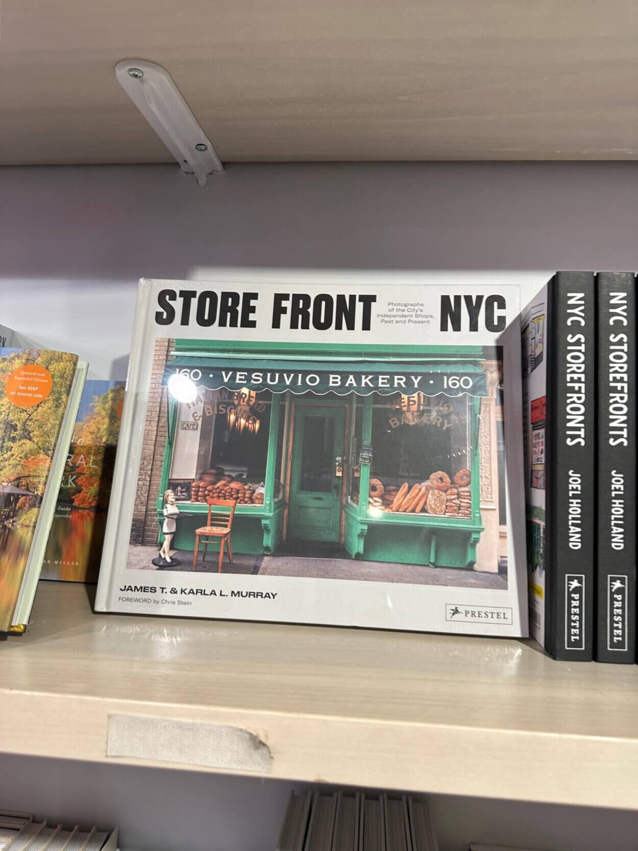 My 10 Favorite Books about NYC, That Would Make Perfect Gifts! - the ...