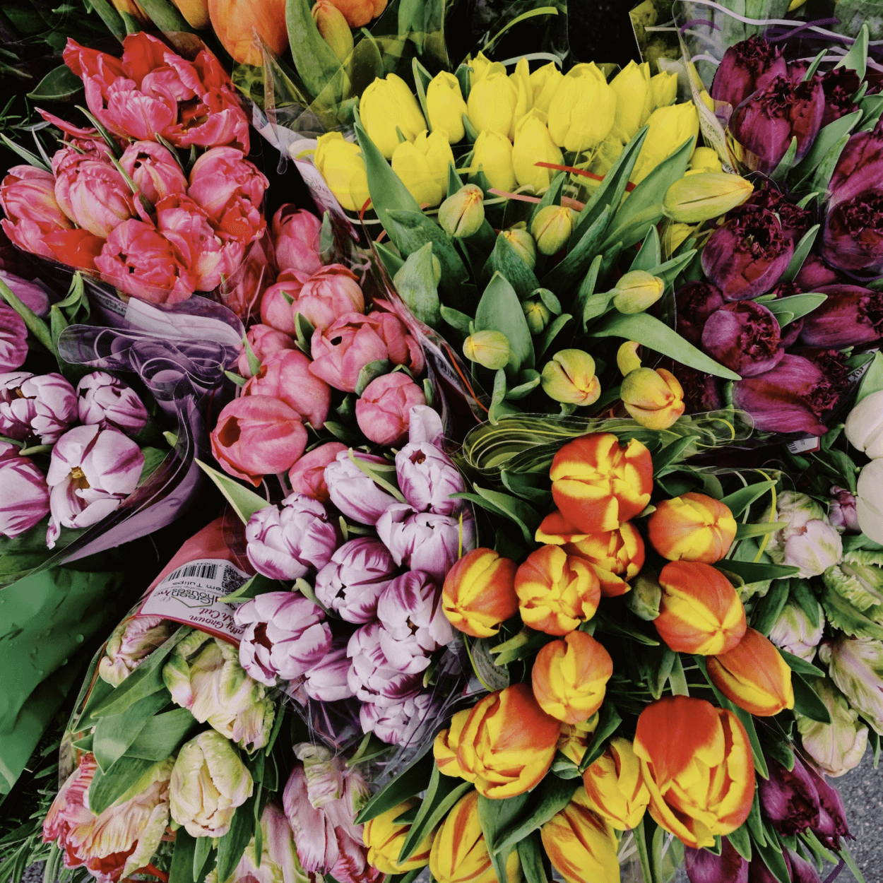 The Perfect 5 Day Spring Itinerary for NYC! - the world and then some