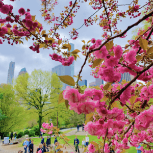 The Perfect 5 Day Spring Itinerary for NYC! - the world and then some
