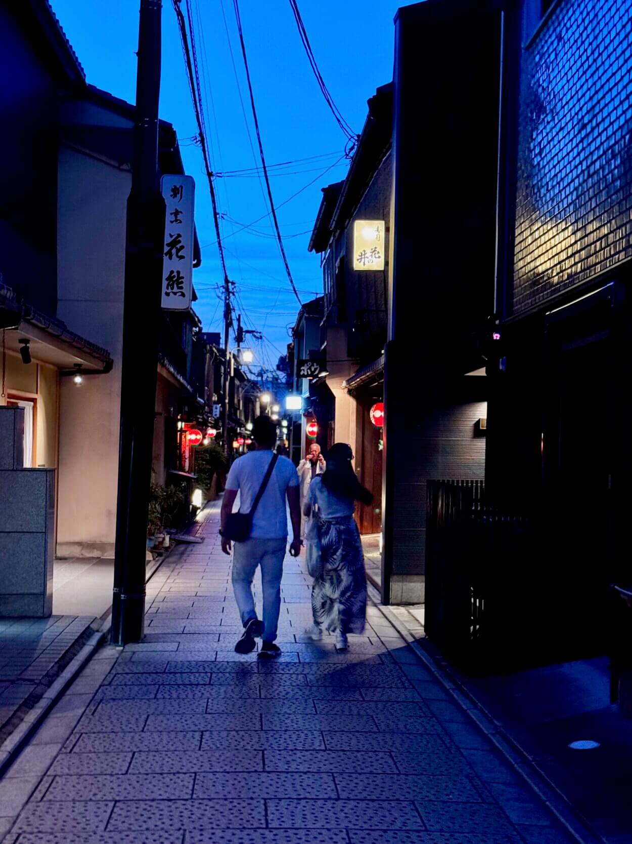 The Kyoto Aesthetic - My First Impressions of This Historic City! - the ...